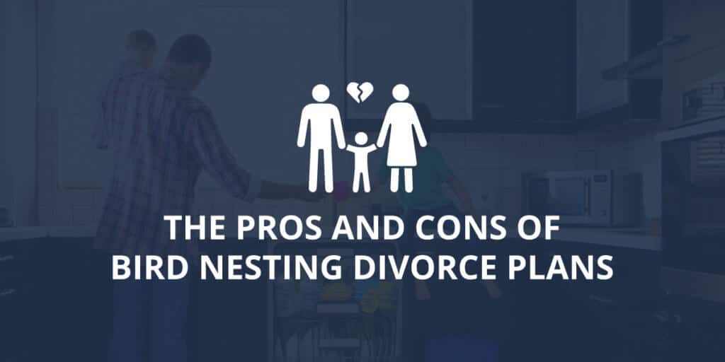 The Pros And Cons Of Bird Nesting Divorce Plans | Infinity Law Group LLC